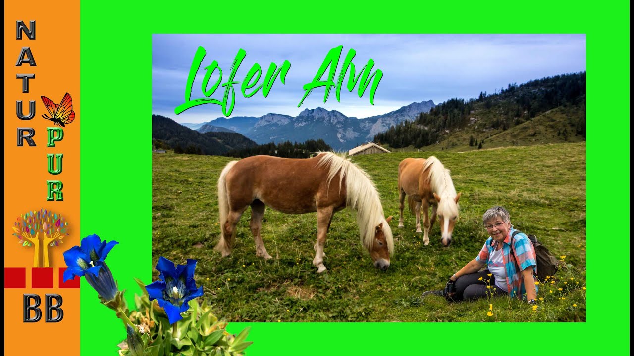 Almwelt Lofer/ Lofer Alm/ Marmorsee/ Salzburger Land/ Die schönste ...