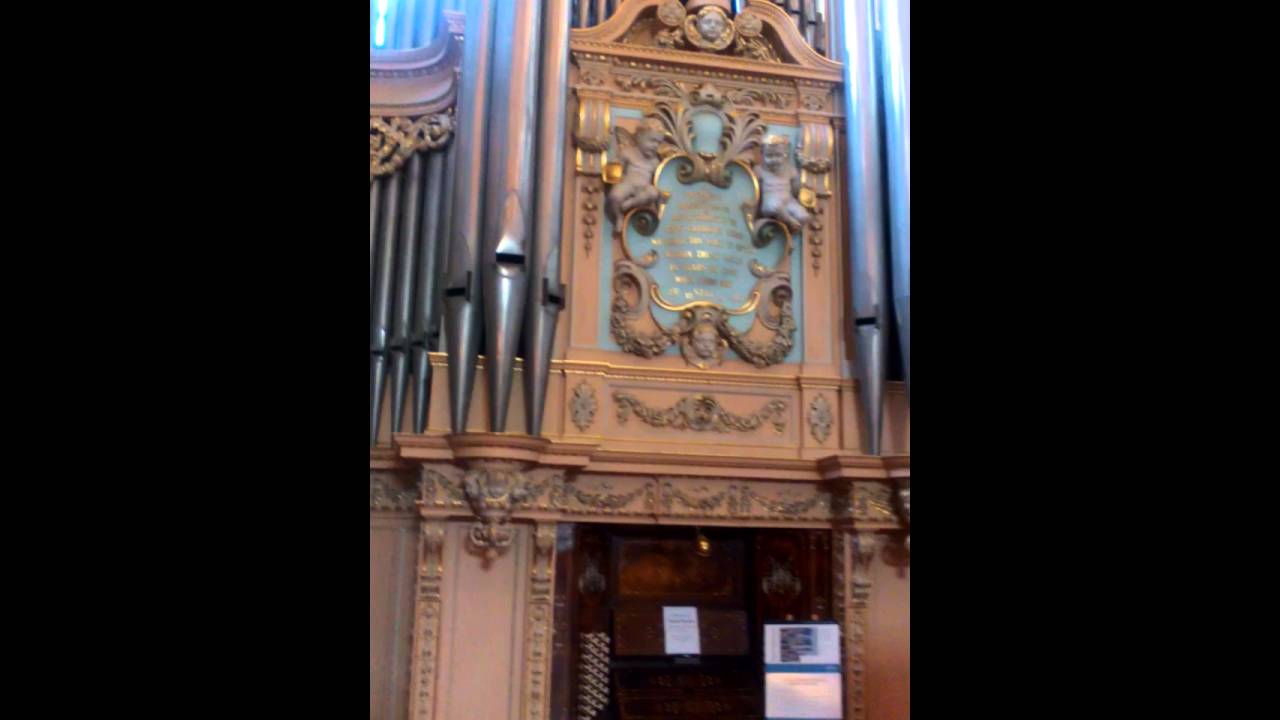 Library /biblioteca+órgano blenheim - YouTube