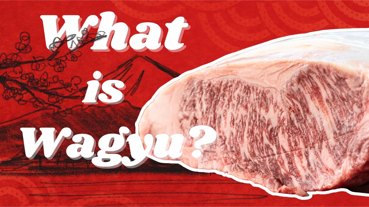 The Complete Guide to Wagyu: Taste, Price, and Secrets - YouTube