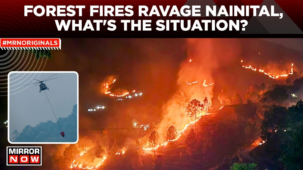 Nainital Fire News | IAF Helicopters Deployed As Forest Fire Rages ...