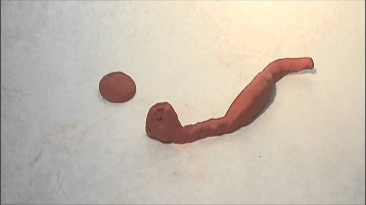 Poor Worm - YouTube