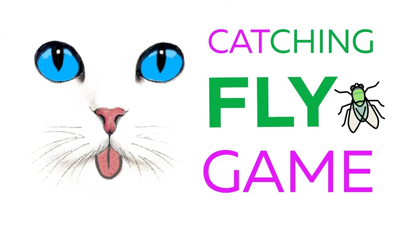 CAT GAMES - Catching FLY! ENTERTAINMENT VIDEO FOR CATS! - YouTube