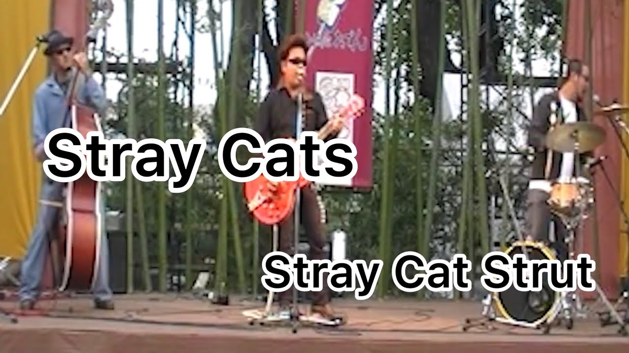 Stray Cat Strut ／Stray Cats (ストレイ・キャッツ) - YouTube