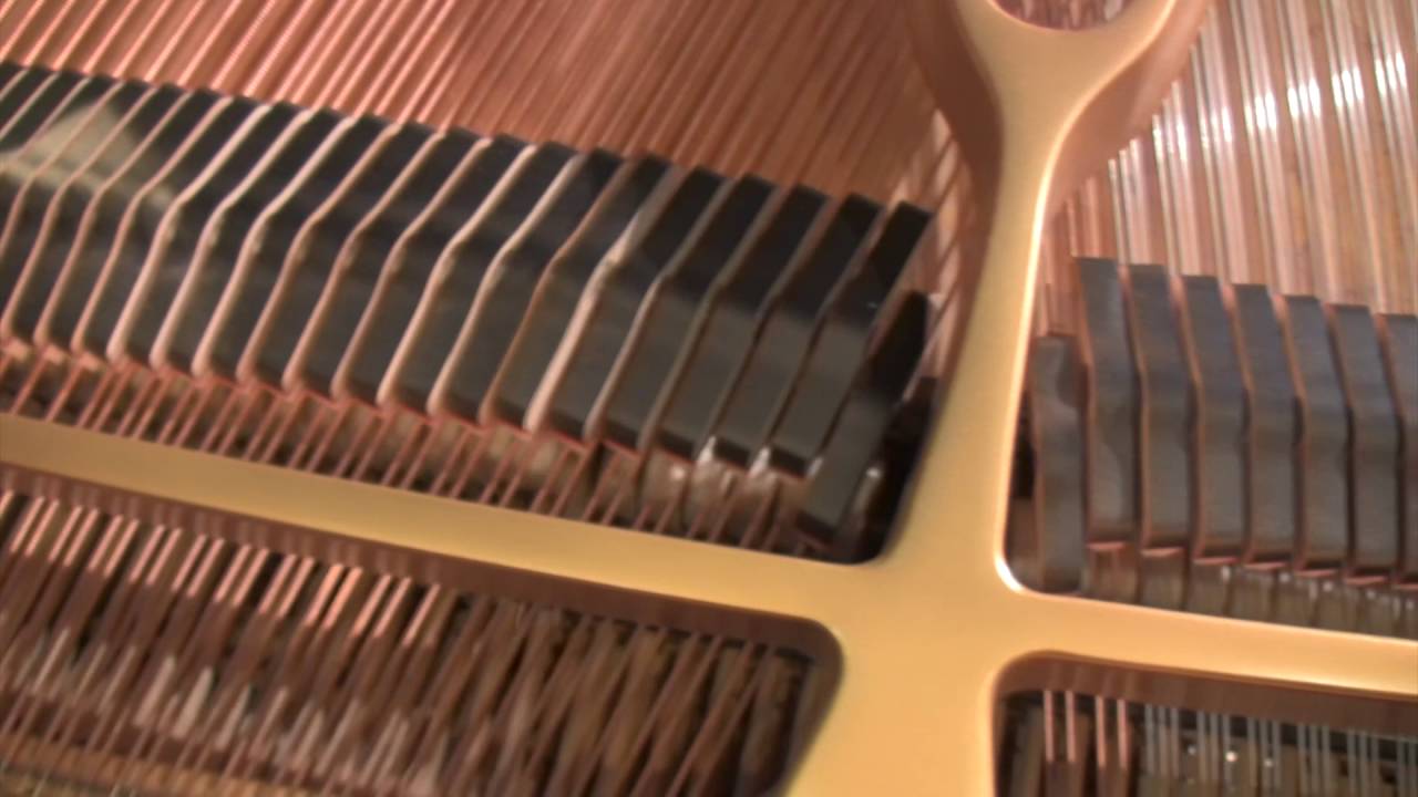 Yamaha Disklavier Grand Piano Demonstration video DC2a - YouTube