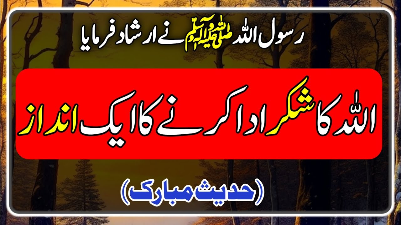 Alah ka shukar ada karnay ka aik andaz ||Hadees e nabvi ﷺ || by Mian ...
