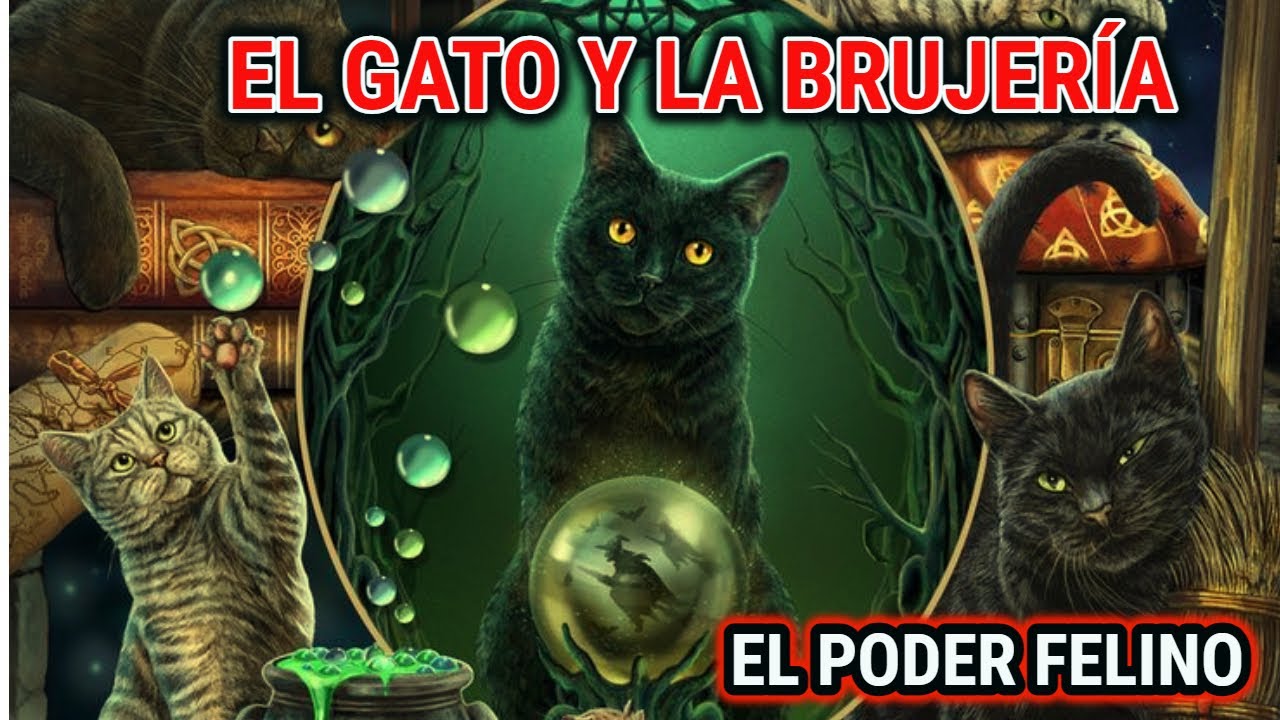 🔮PODER FELINO: EL GATO, LA MAGIA Y LA HECHICERÍA 🌌. Mágica y truculenta ...