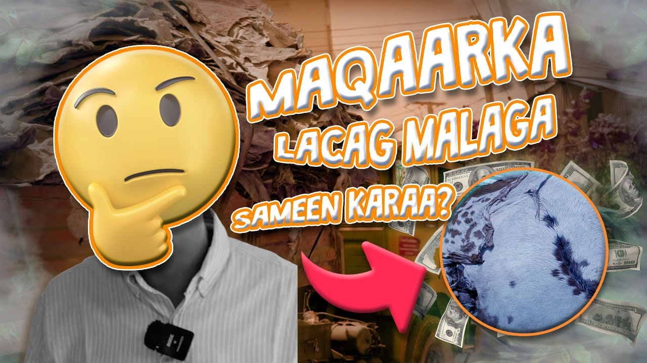 Maqaarka Lacag malaga sameyn karaa?? - YouTube