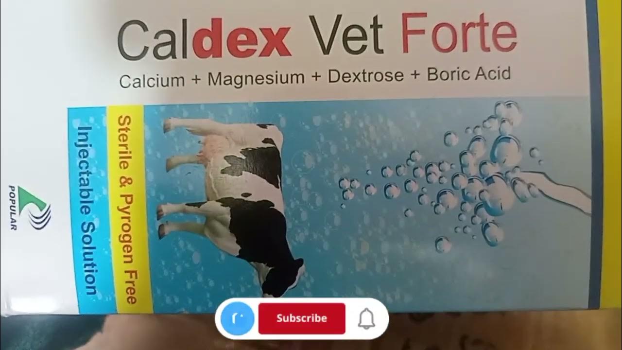 Caldex vet forte ।গাভীর ক্যালসিয়াম ওষুধ |ভালো মানের ক্যালসিয়াম ওষুধ|গরু মোটাতাজাকরণ - YouTube