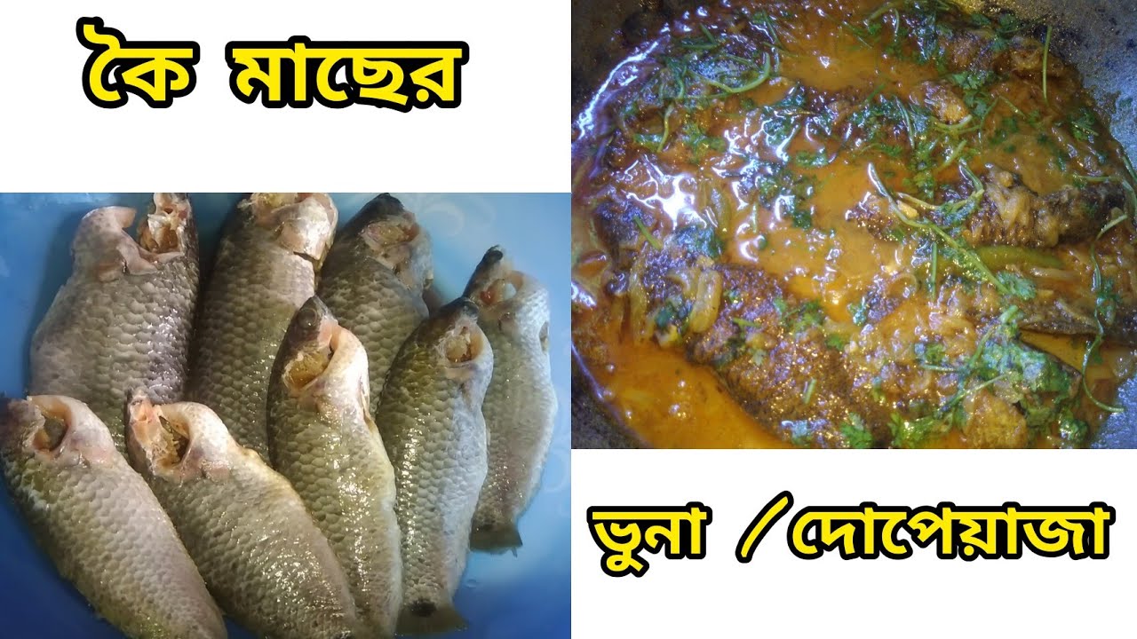 কৈ মাছ ভুনা /দোপেয়াজা।। koi mas vuna Recipe.. - YouTube