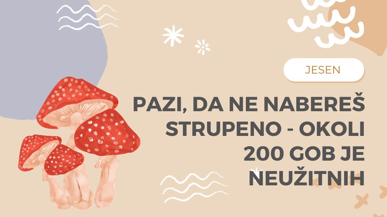 Pazi, da ne nabereš strupeno - okoli 200 gob je neužitnih - YouTube