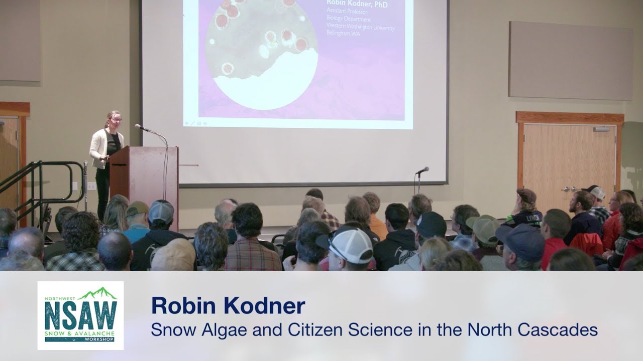 NSAW 2017 - Robin Kodner: Snow Algae and Citizen Science in the North ...