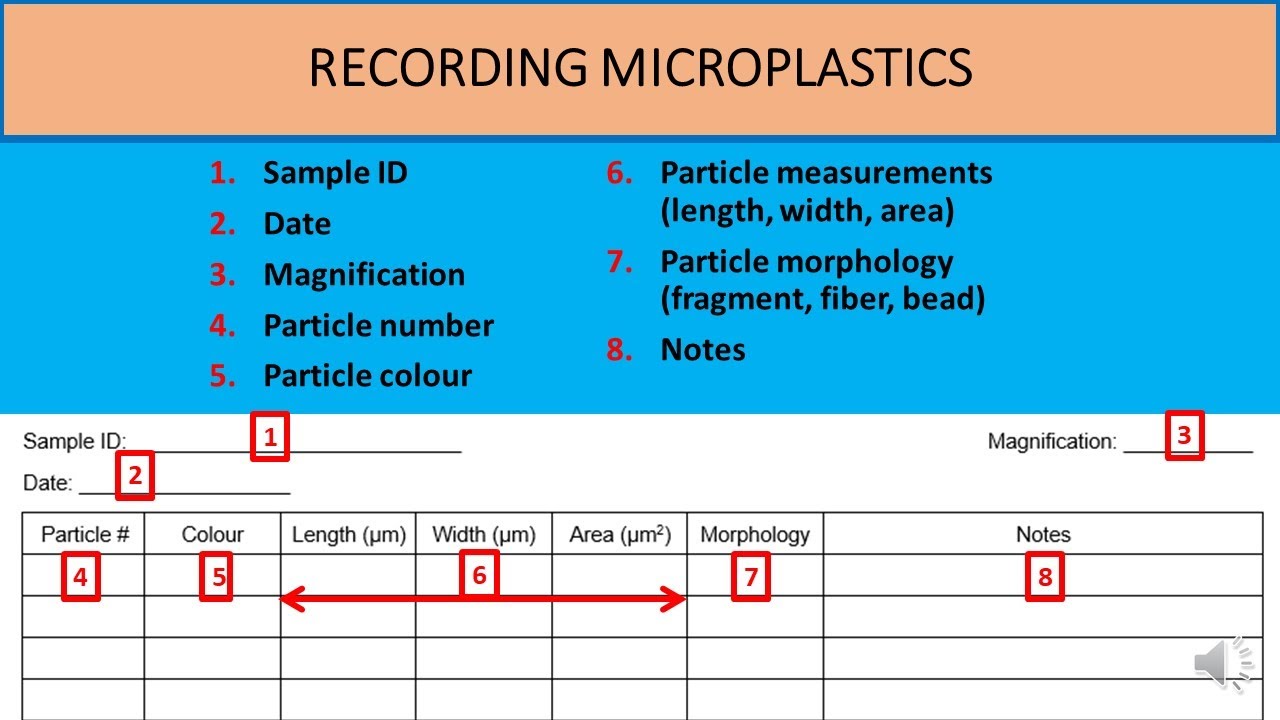 Count Sheet Tutorial: microplastics and microscopes - YouTube
