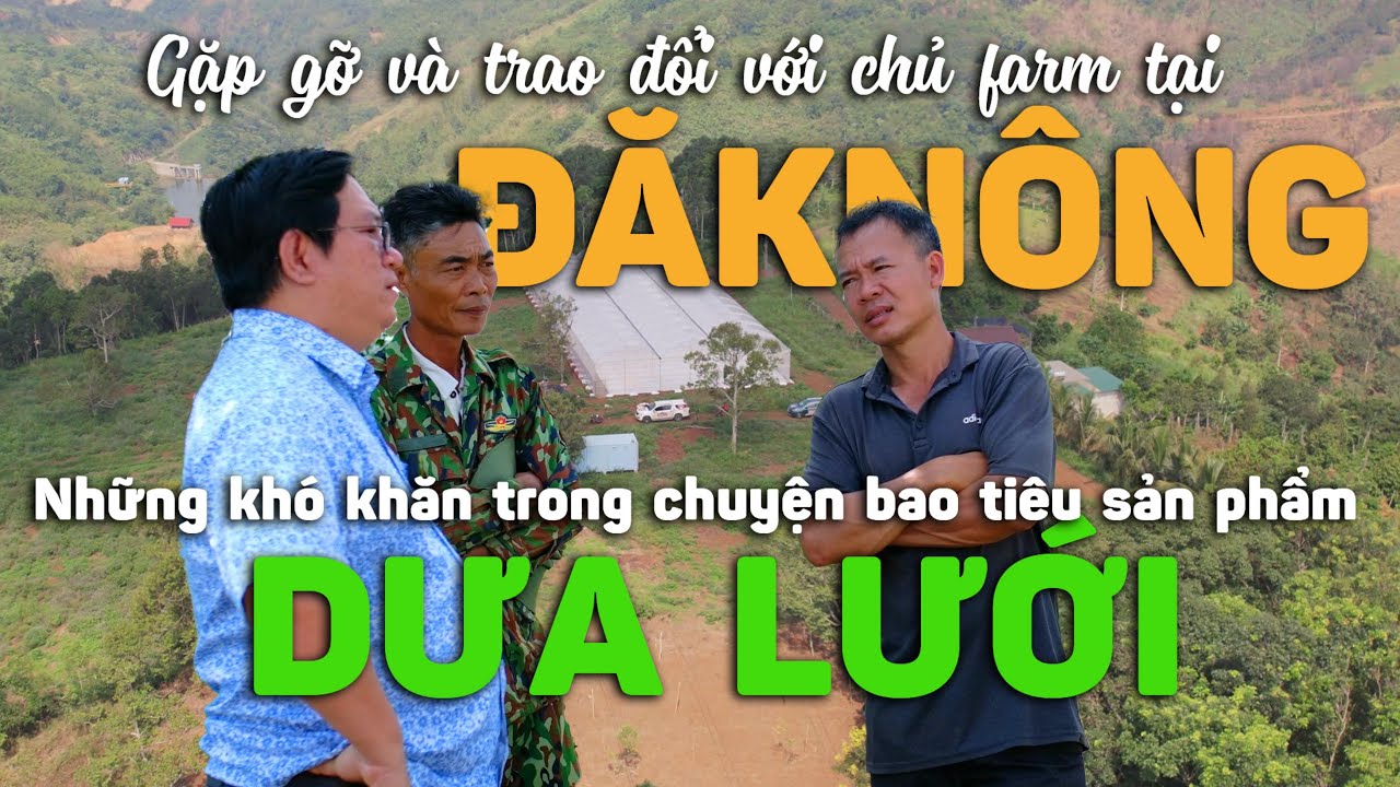 Gặp Gỡ Chủ Farm Chuẩn Bị Trồng DƯa LƯỚi Tại Đăknông Những Khó Khăn