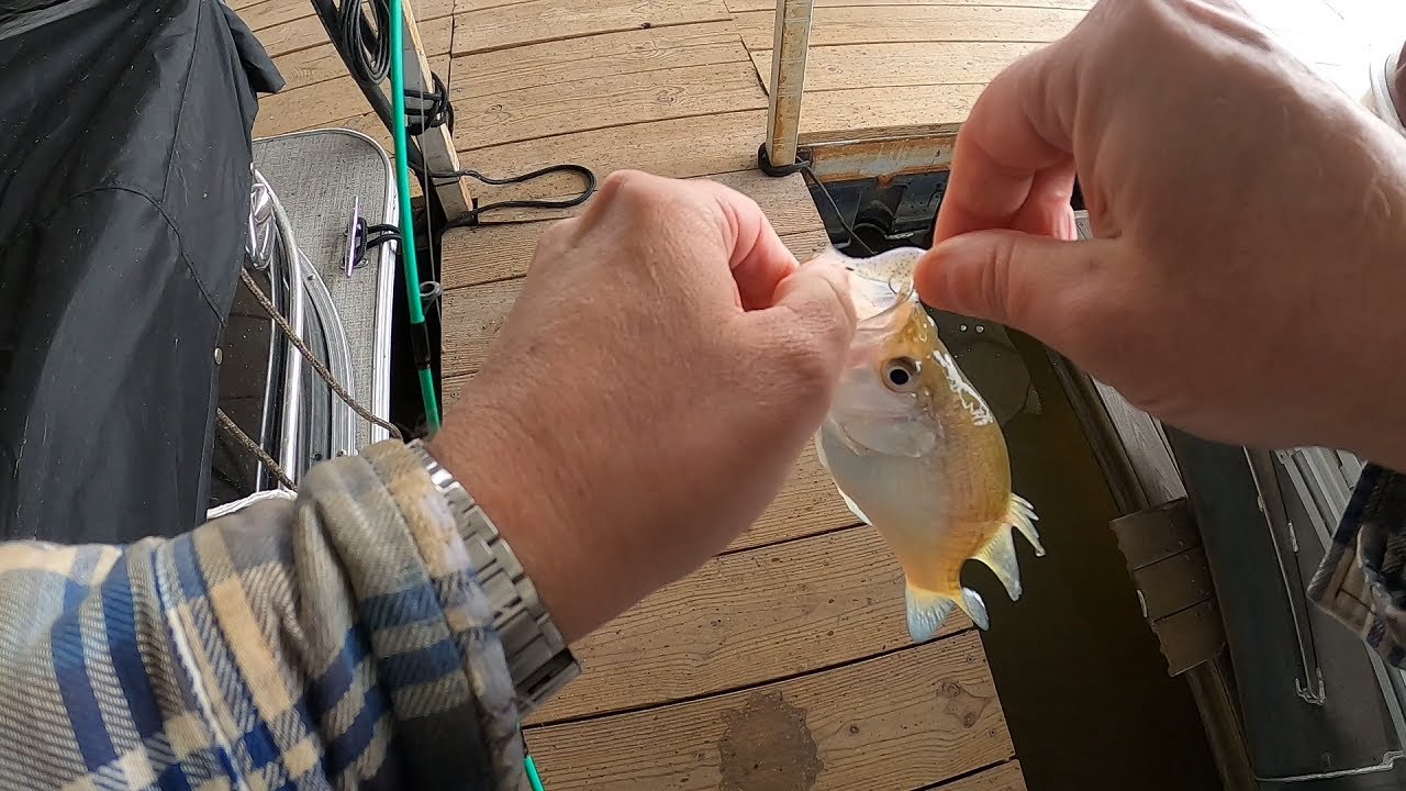 One of those days where you catch just one fish and this is it - YouTube