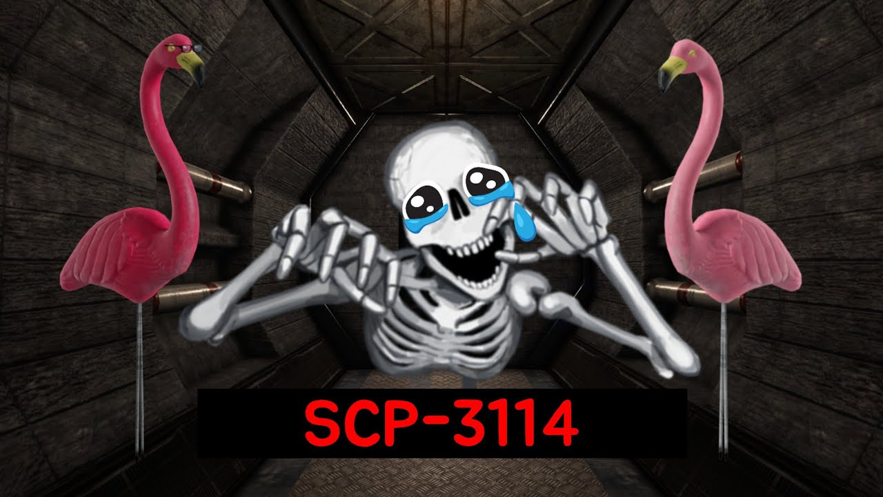 내가 샌즈 걸릴때만 억까함.. SCP-3114 / SCP: Secret Laboratory - YouTube