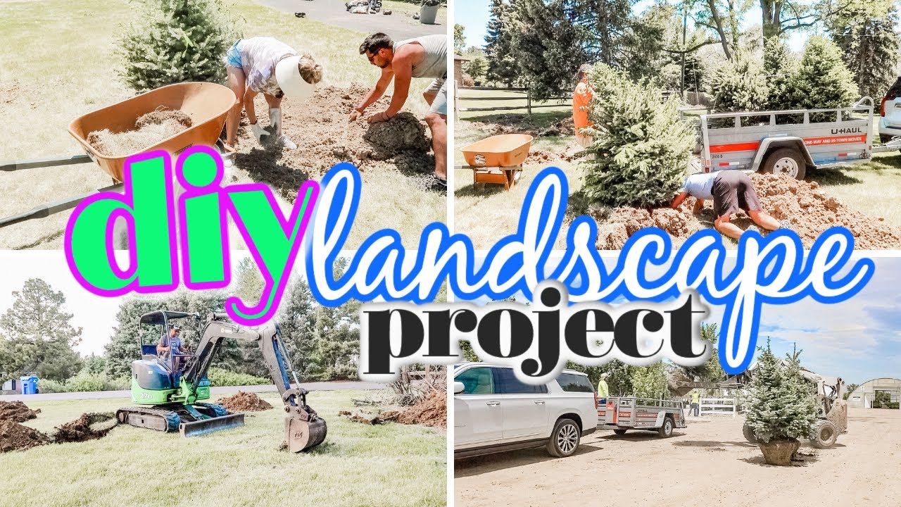 OUR FIXER UPPER | STARTING OUR HUGE LANDSCAPING PROJECT! | TREE ...