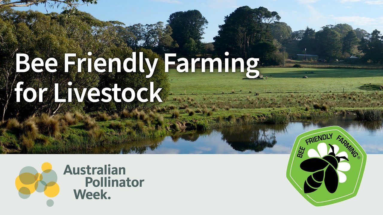 Bee Friendly Farming for Livestock - YouTube