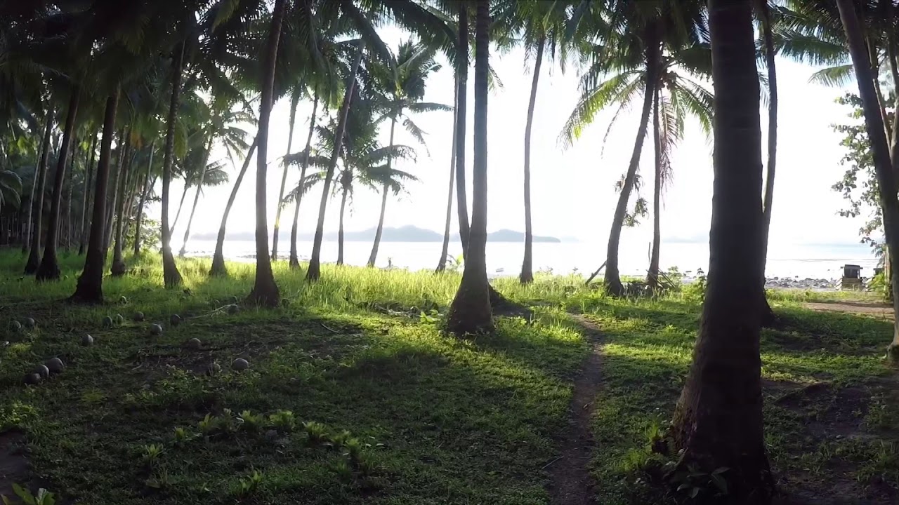 Two Weeks In The Philippines YouTube two-weeks-in-the-philippines-youtube