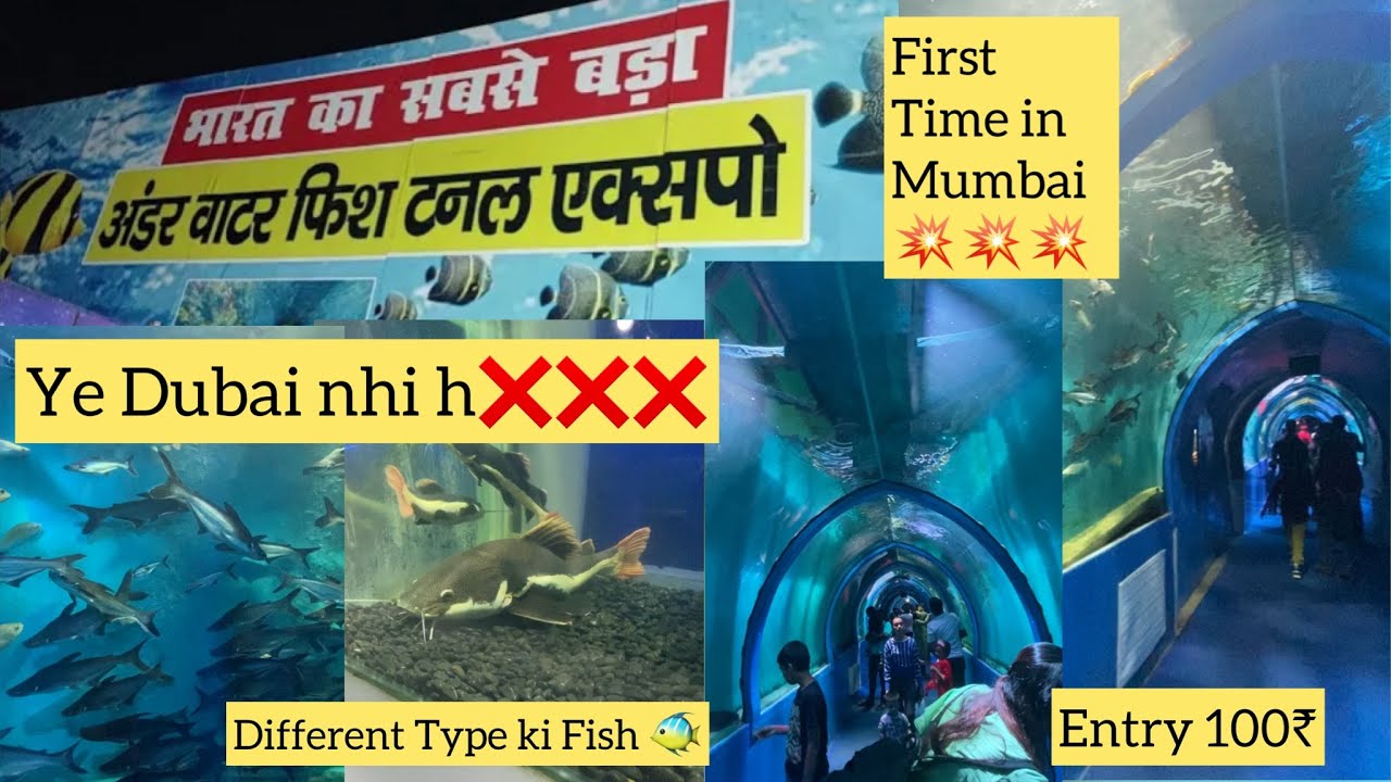 Ye Dubai nhi h Ab Mumbai me Underwater Fish Tunnel |Borivali fish ...