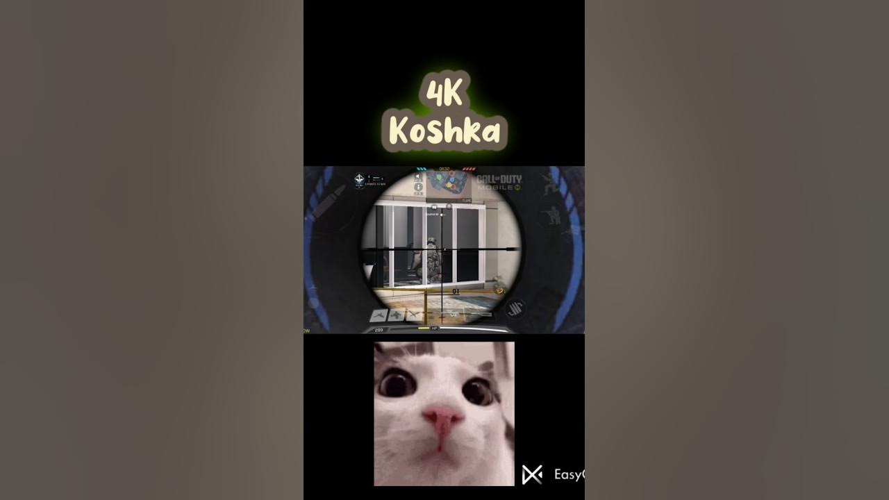Shades of Koshka #callofduty #codm #cod #codmobile - YouTube