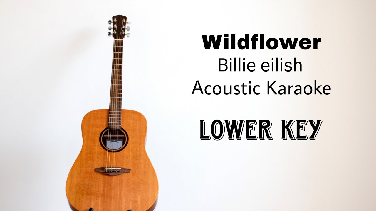 Billie eilish - Wildflower (Lower Key) (Acoustic Karaoke) - YouTube