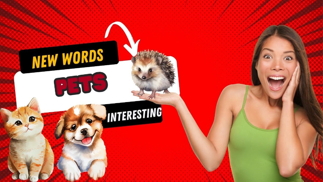 Pets | Learning English Vocabulary For Kids - YouTube
