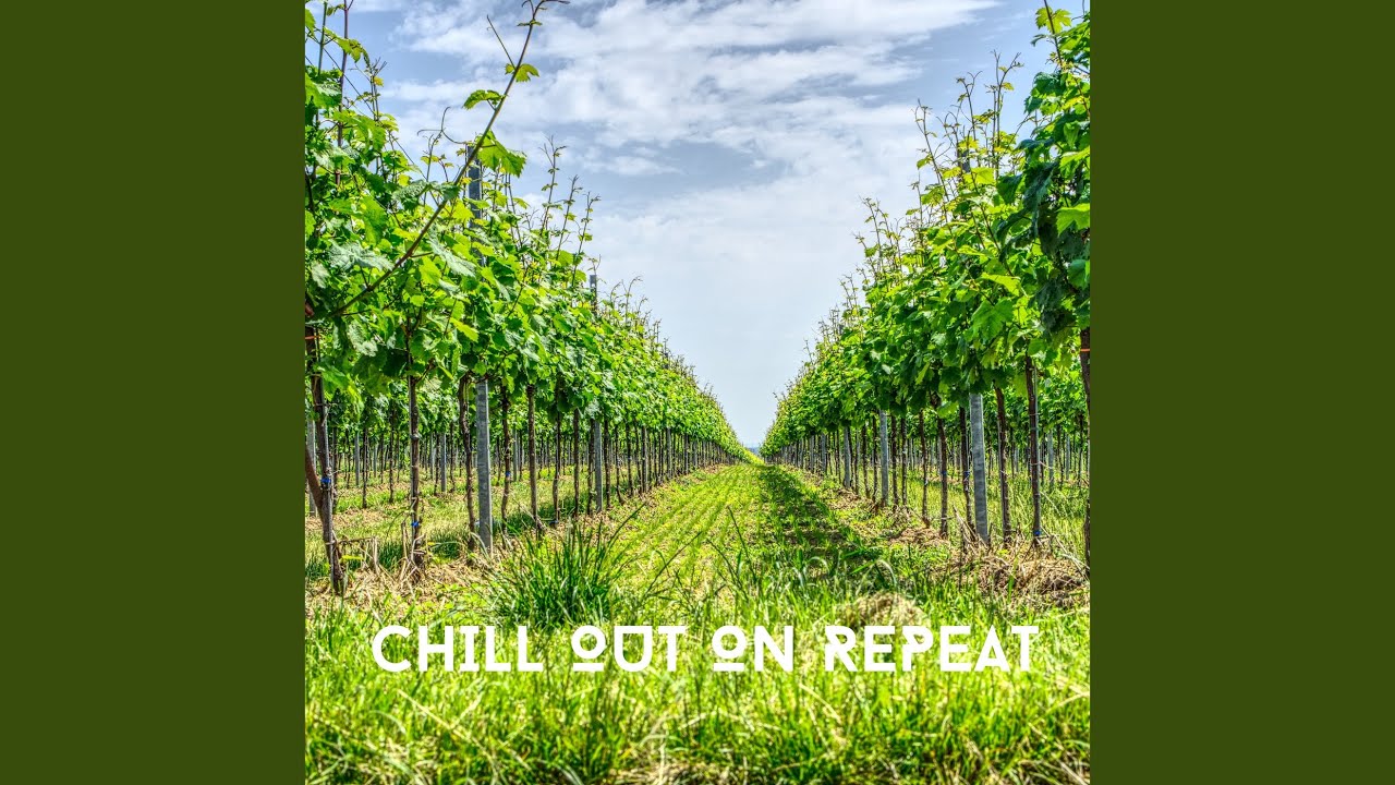 Focus Spirit - YouTube