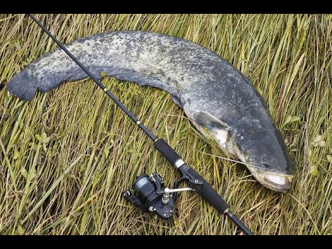 Amazing huk fishing - YouTube