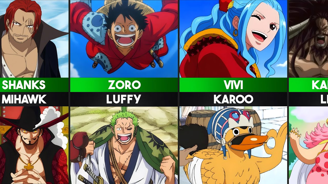 BEST Friends of One Piece Characters - YouTube