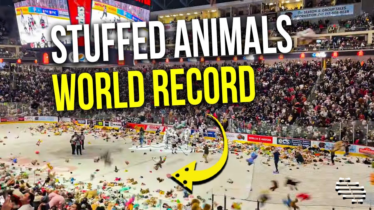 Thousands of Stuffed Animals, Hitting World Record, Flew From the ...