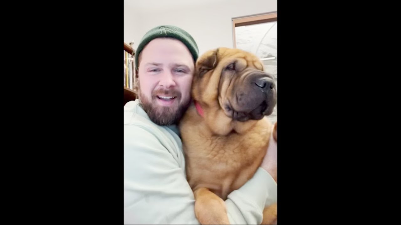 David DeVaul for The Pawlidays - YouTube