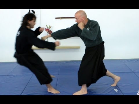 Fudo ken, gyaku tsuki, cross punch, basic - Ninjutsu technique for Akban wiki - YouTube