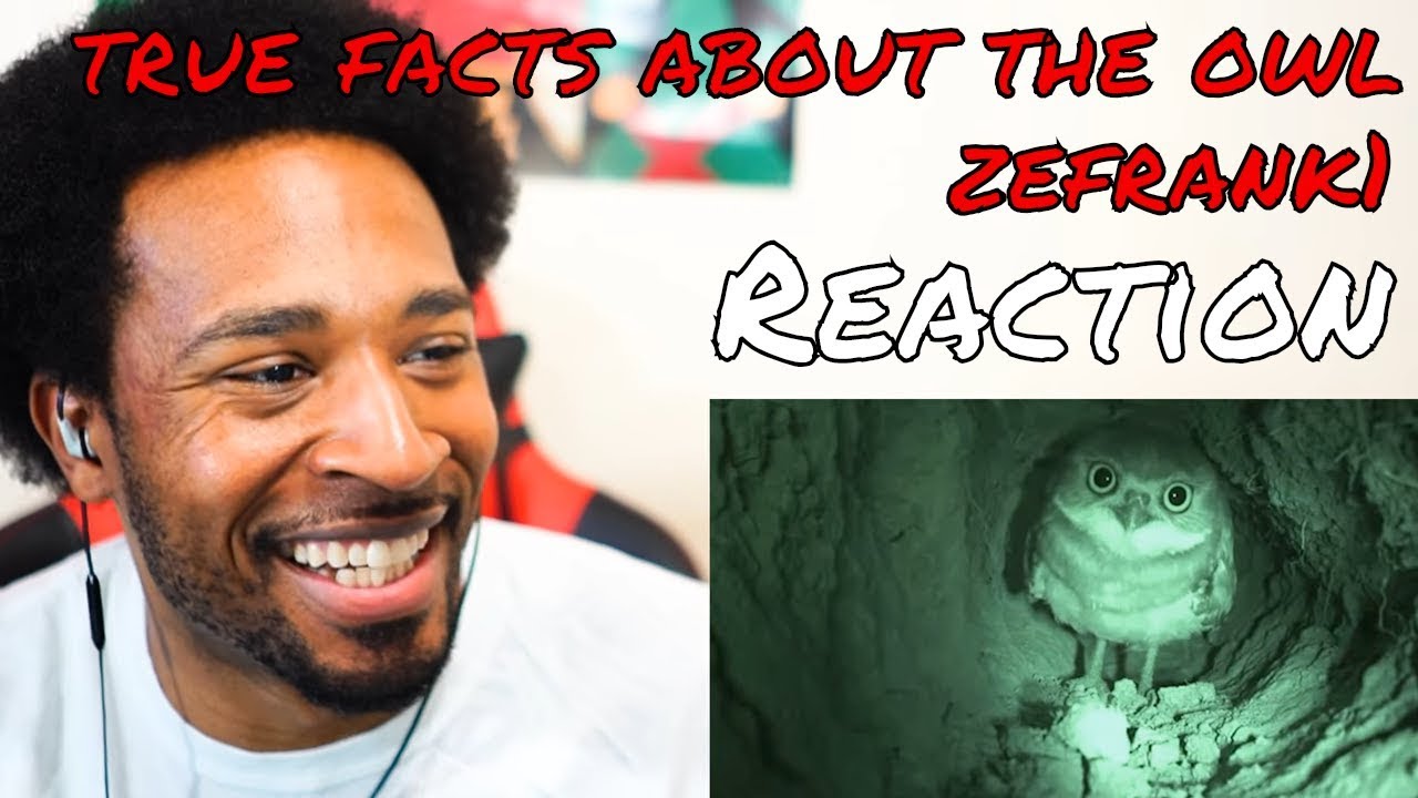 True Facts about the Owl REACTION - DaVinci REACTS - YouTube