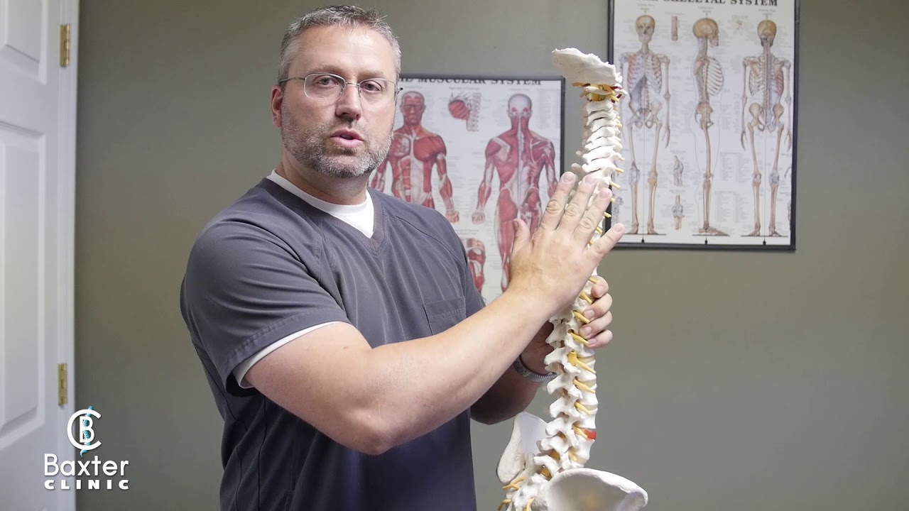 Importance of Visiting your Chiropractor - Baxter Chiropractic Clinic ...