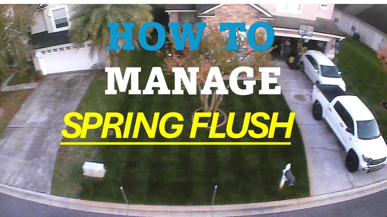 How to manage the Spring Flush? Manage growth, improve turf quality and ...