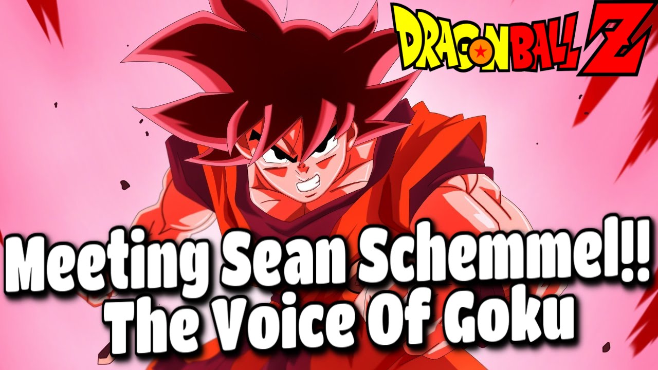 Meeting Sean Schemmel, The Voice Of Goku!!! - YouTube