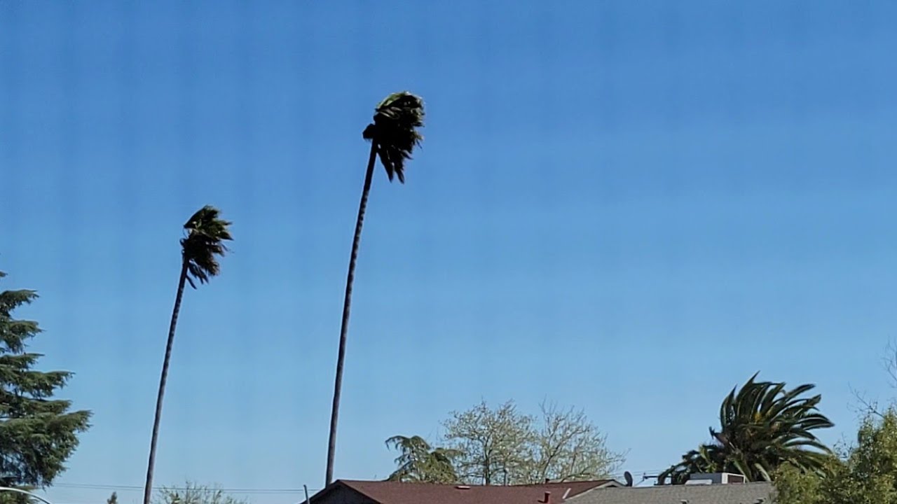 Gusty Windy NW To WNW Winds and Sunny 1:29pm March 23, 2021 - YouTube
