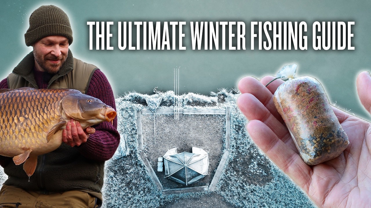 The Complete Guide To Winter Carp Fishing | Location, Rigs, Bait ...