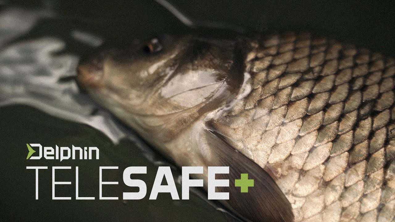 Delphin TeleSAFE+ - YouTube
