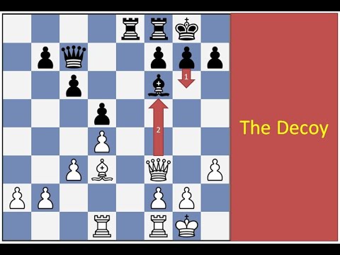 The Decoy | Chess basic concept | Chess for beginners #chess #chessgame ...
