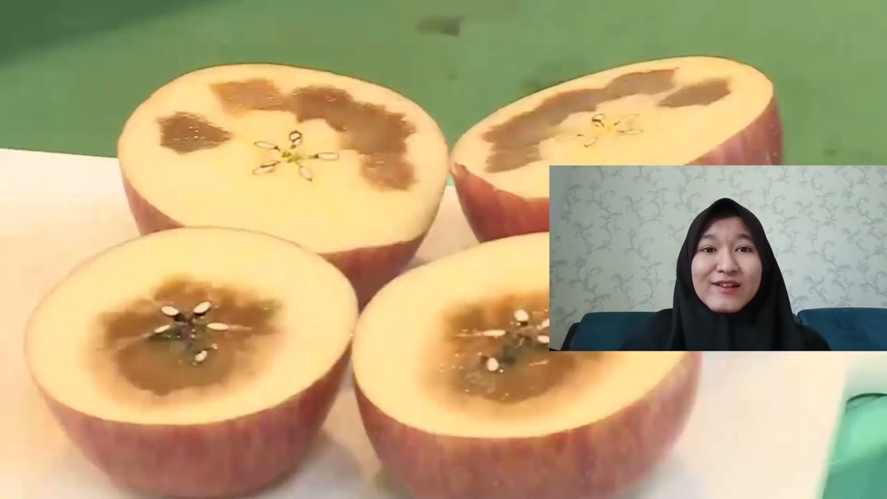 Mesin Sortasi Buah dan Sayur Otomatis - KELOMPOK 6 [TIP A 2020] - YouTube