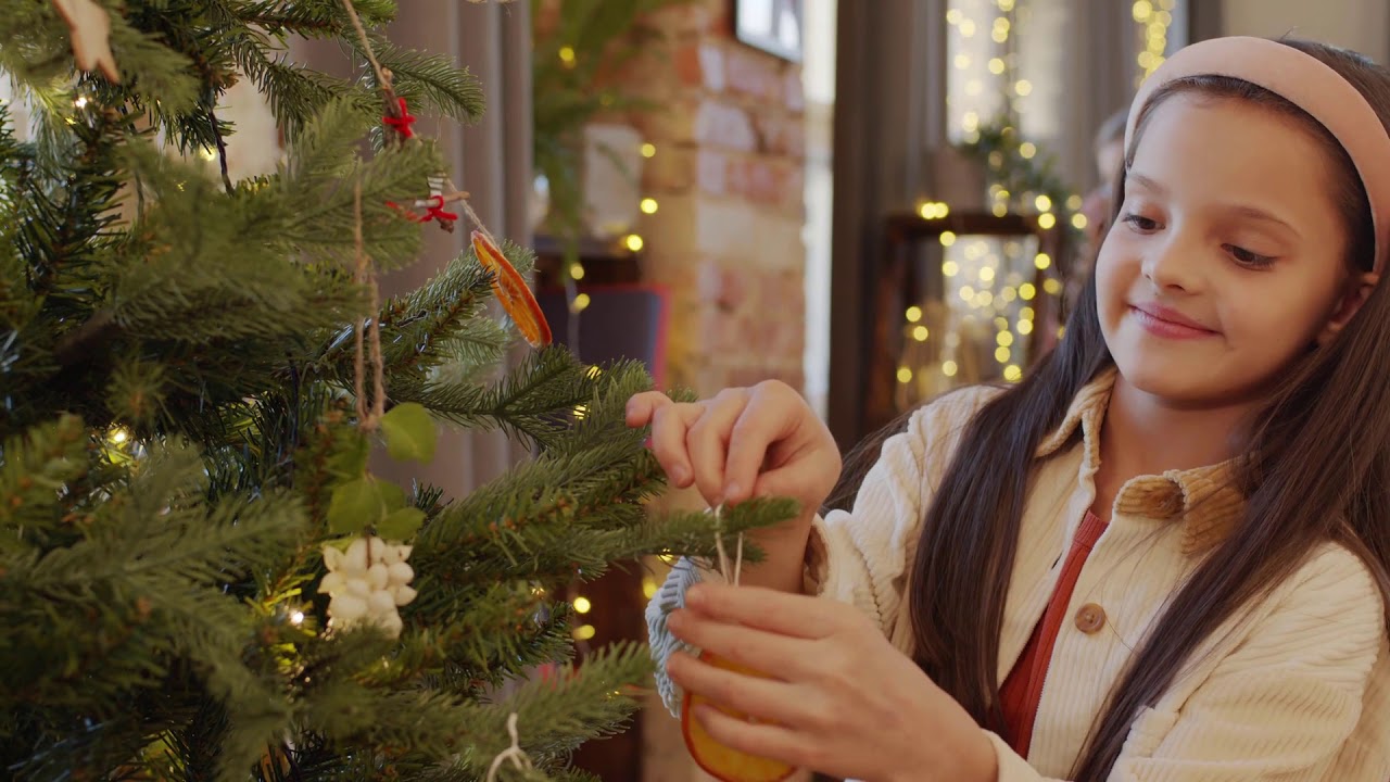 Free stock footage christmas tree (No Copyright Audio And Footage ...