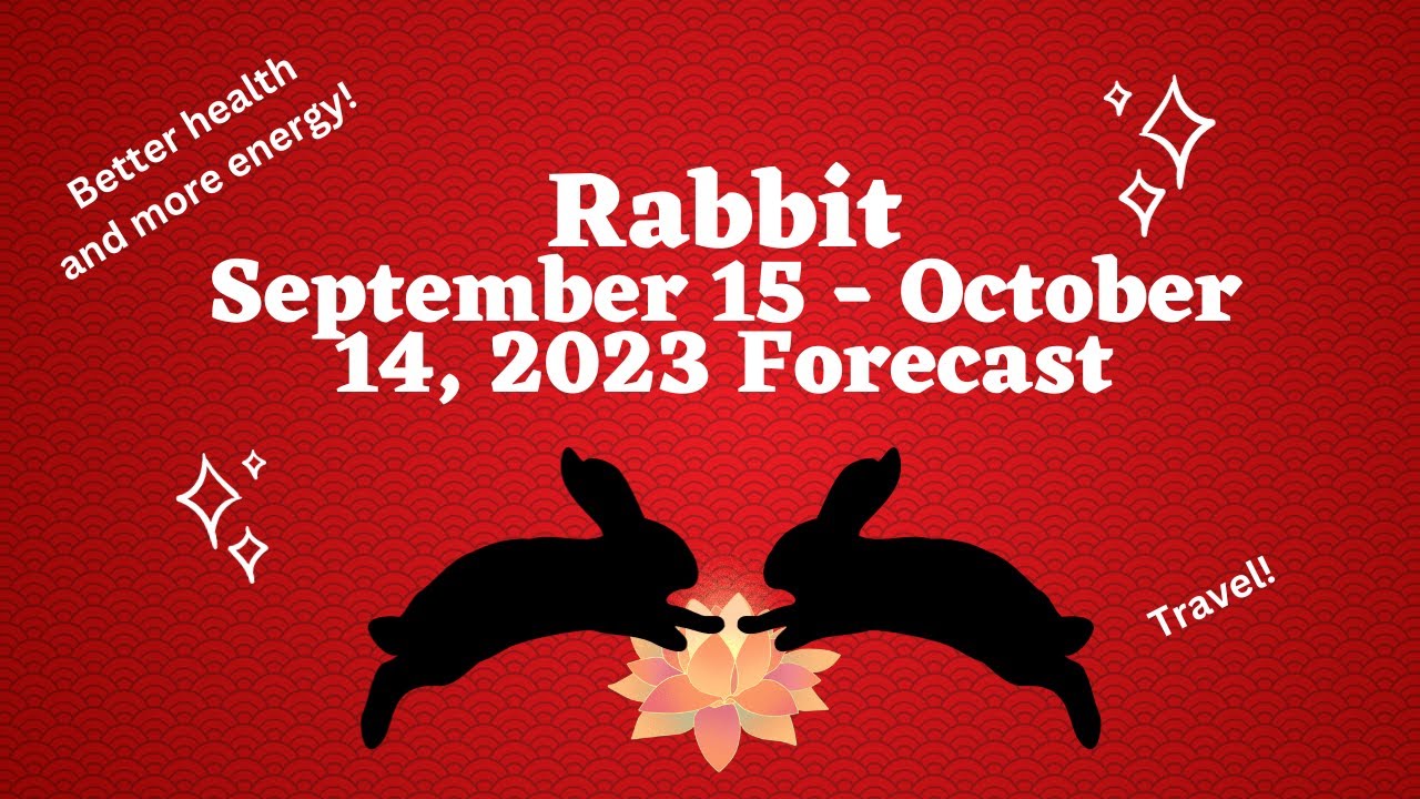 Rabbit September - October Forecast 2023 #chineseastrology - YouTube