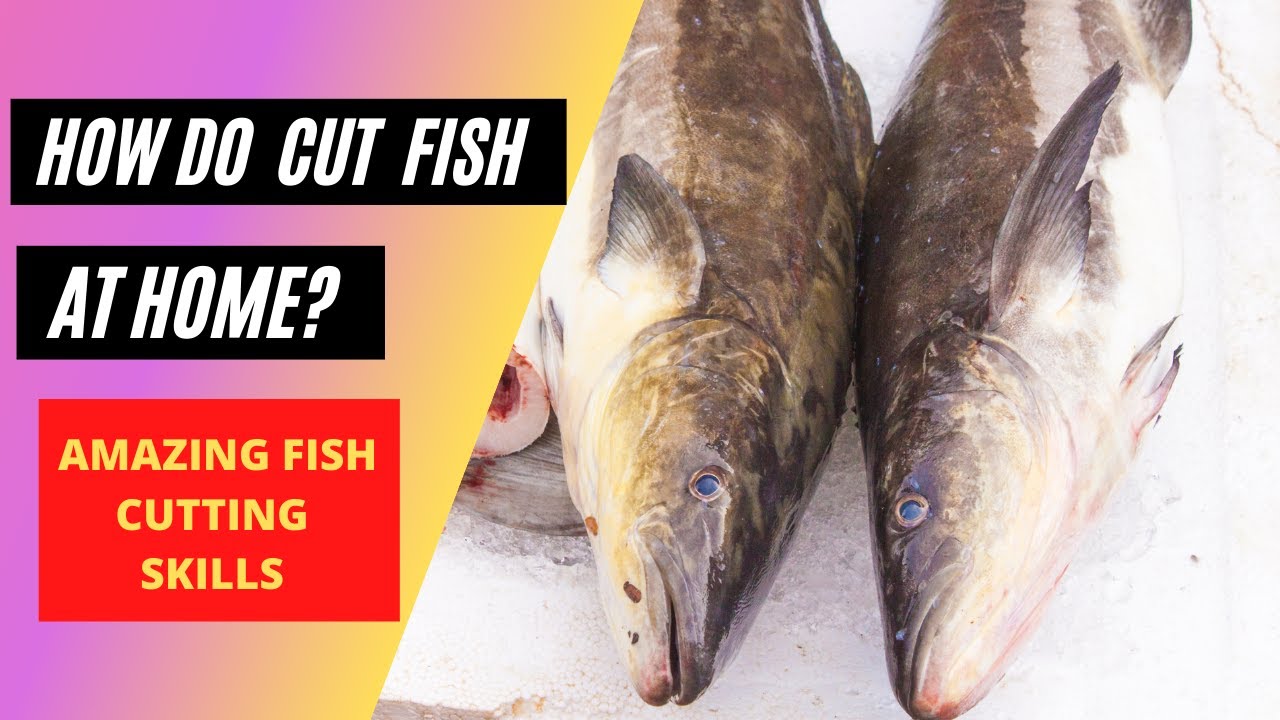 How do cut fish at home | Fish cutting skills | Live fish cutting - YouTube