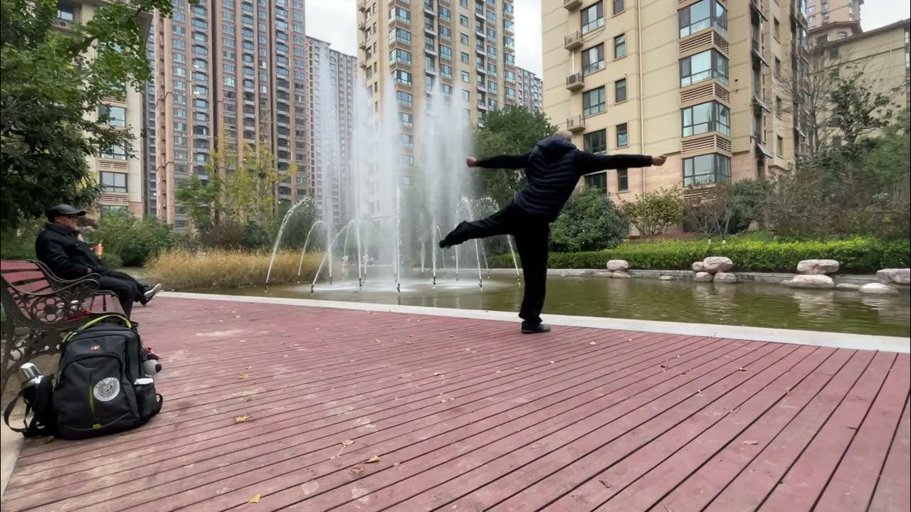 Lao Jia Yi Lu, Old Frame First Routine, Taiji in Zhong Jin Dao Training System 中劲道 老架一路 太极 - YouTube