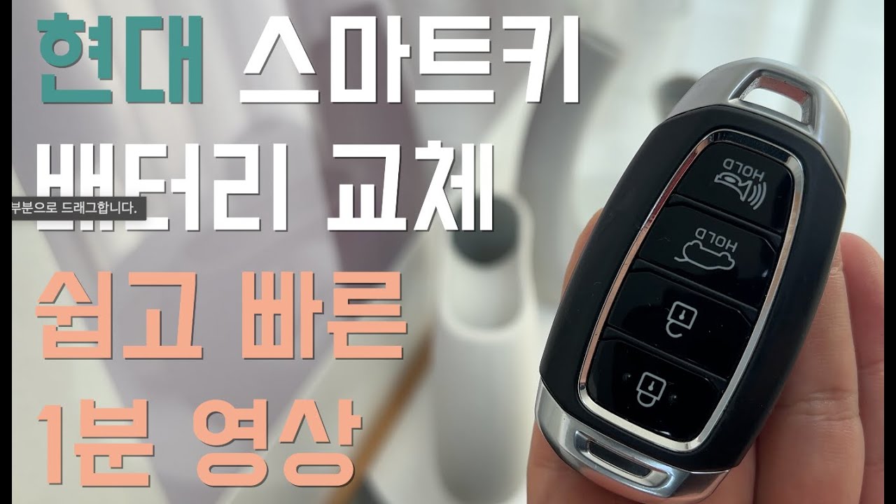 현대 스마트키 차키 배터리 교체 쉽고 빠른 1분 영상 코나 베뉴 팰리세이드 아반떼 그랜저 Hyundai Key Fob