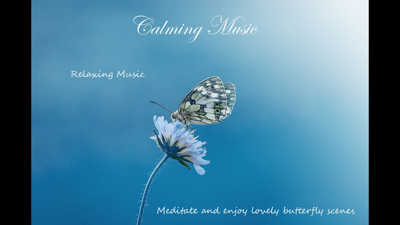 Relaxing & Calming Music: Meditate and enjoy lovely butterfly scenes ...