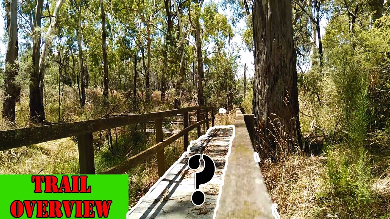 Lake Canobolas MTB Park (Linky Jim) "Green Circle" - YouTube