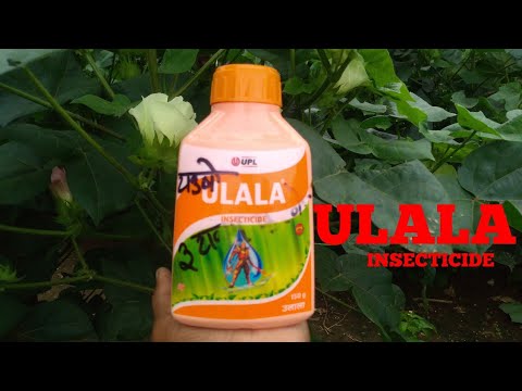UPL ULALA INSECTICIDE || FLONICAMID 50% WG - YouTube