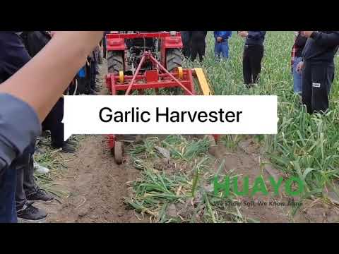 Garlic Harvester Picker driven by tractor | Garlic Machine Manufacturer ...